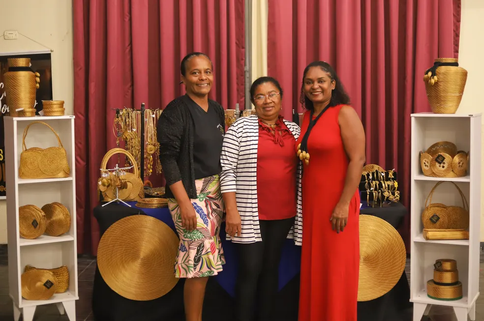 Folha do Jalapão - Trabalho de artesãs apresenta cultura do capim ...